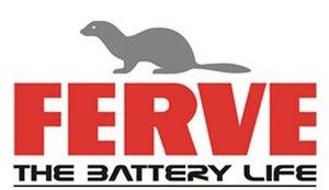 FERVE | Soluciones completas para el mantenimiento de baterías — RECAPLUS